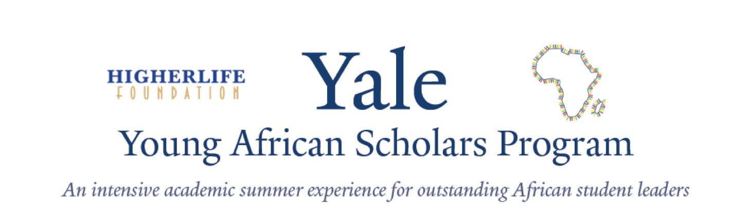 YYAS Banner – Ahaspora Professionals Network